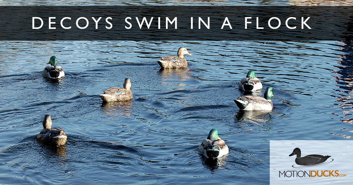 Shop Motion Ducks - Duck Decoy Spreader and Feeder System