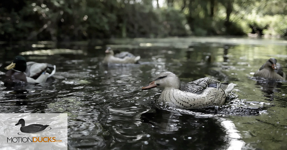 Shop Motion Ducks - Duck Decoy Spreader and Feeder System